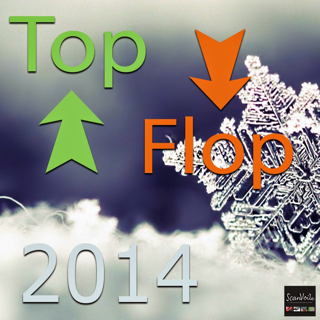 Découvrez le FLOP 5 de l'année 2014 ! | ScanVoile