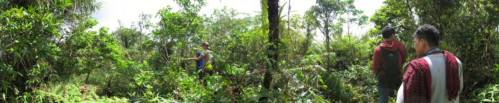 Mt. Naguiling Mountain Exploration ~ City Boy Tripper