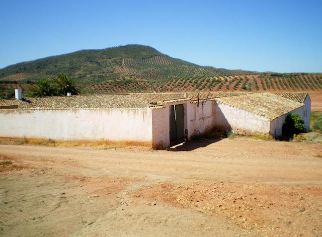 Club de Senderismo Los Escuderos de Rus (Jaen): ZAGAHÓN-PUENTE DE ARIZA ...