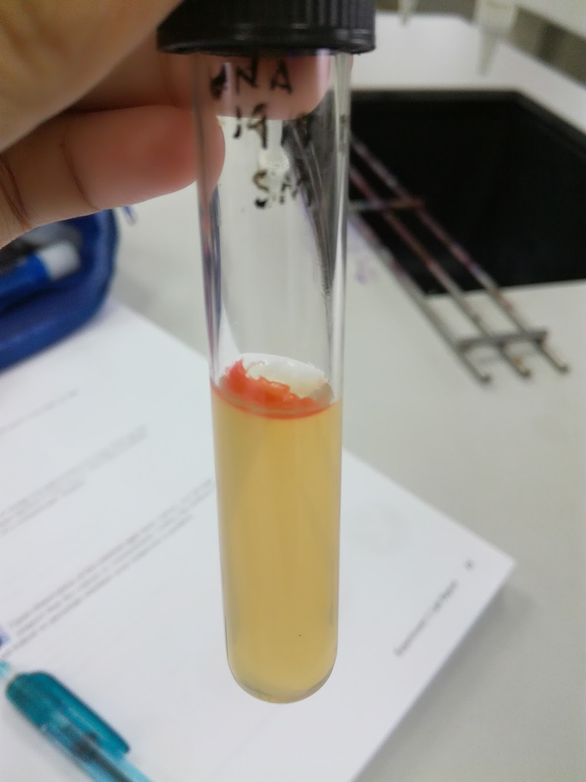 THE FIRST EXPERIMENT