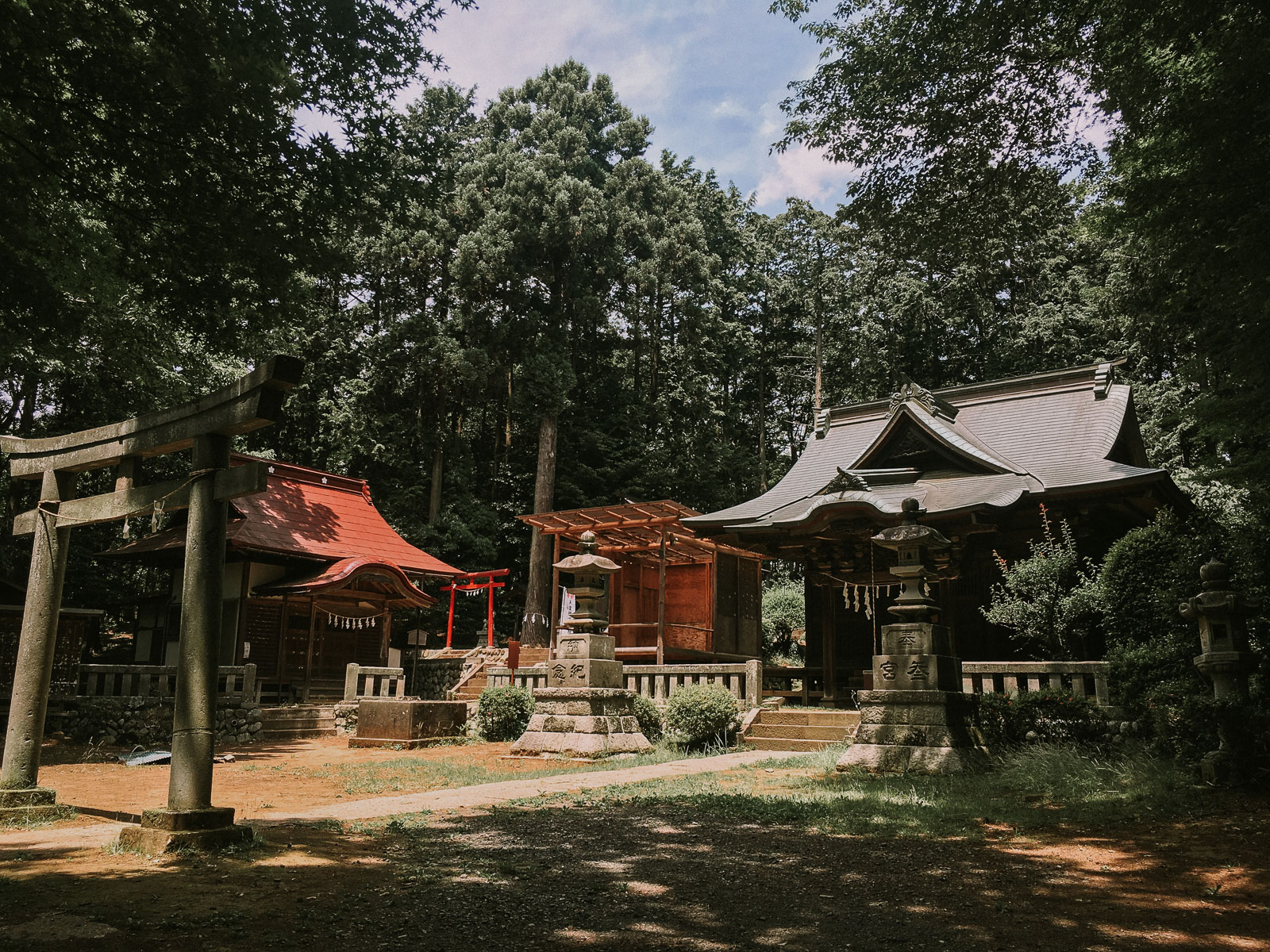A Walk in Totoro's Forest - Sayama Hills Day Trip from Tokyo ...
