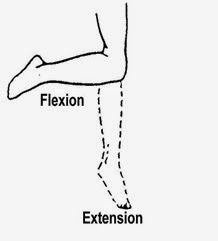 lupita pardosi: Gerakan ROM (Range Of Motion) , Nursing :)