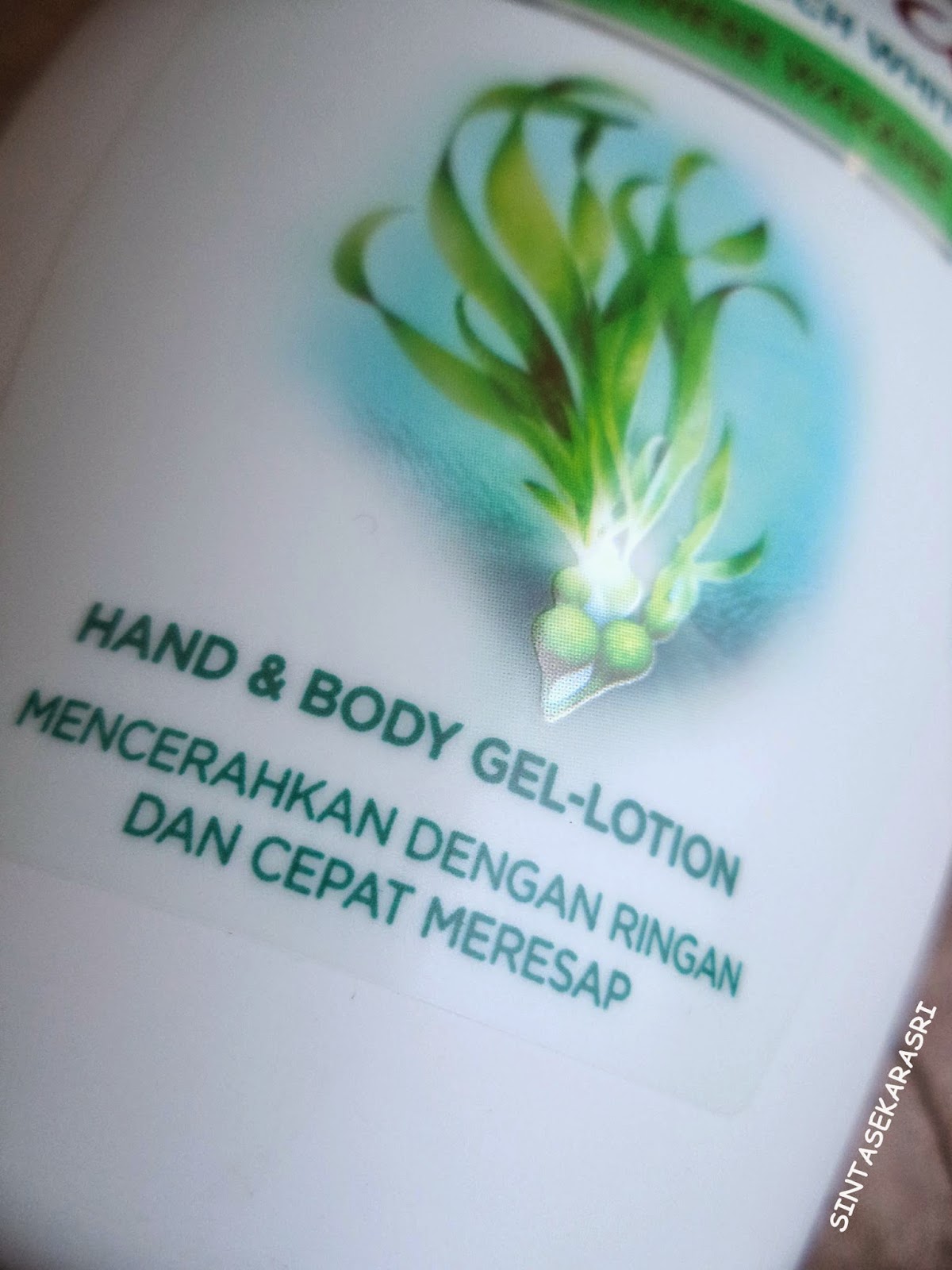 SINTA SEKARASRI: [BEAUTY] CITRA LIGHT-TOUCH WHITE JAPANESE WAKAME HAND ...