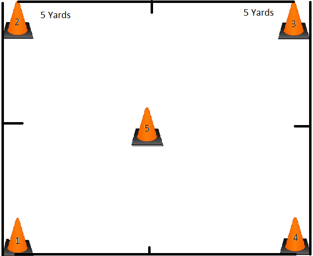 Multi-Directional Training