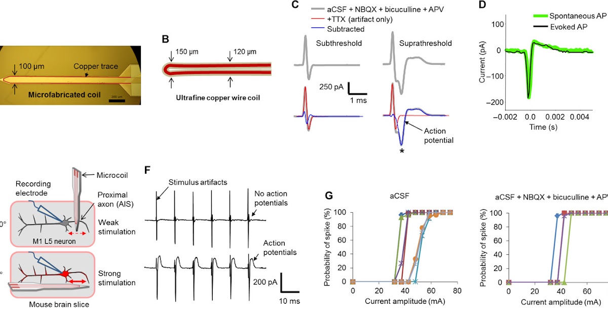 Intermediate Physics for Medicine and Biology: Implantable microcoils ...