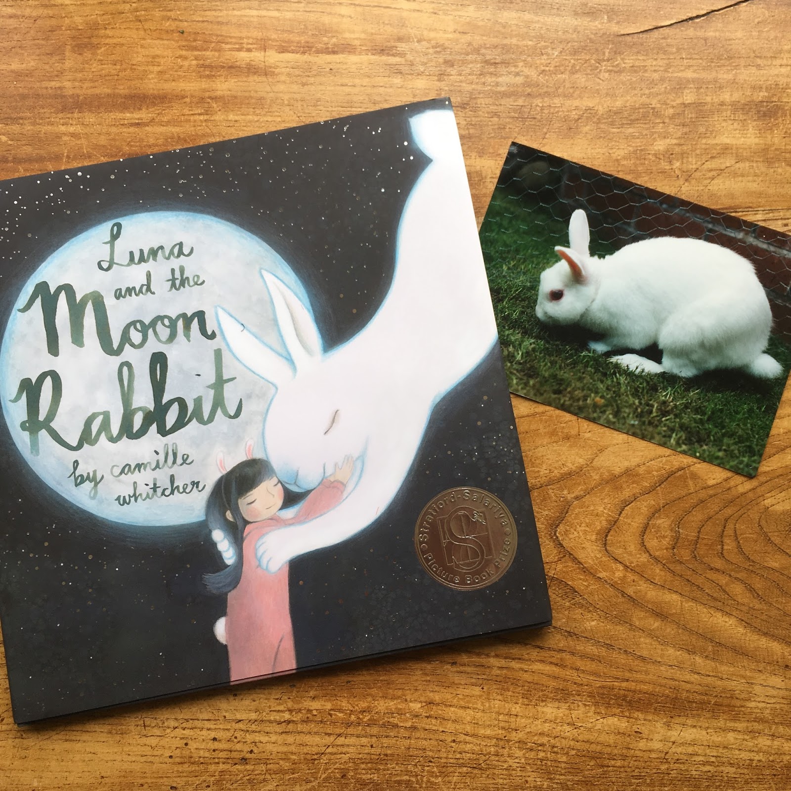Luna and the Moon Rabbit - BookBairn