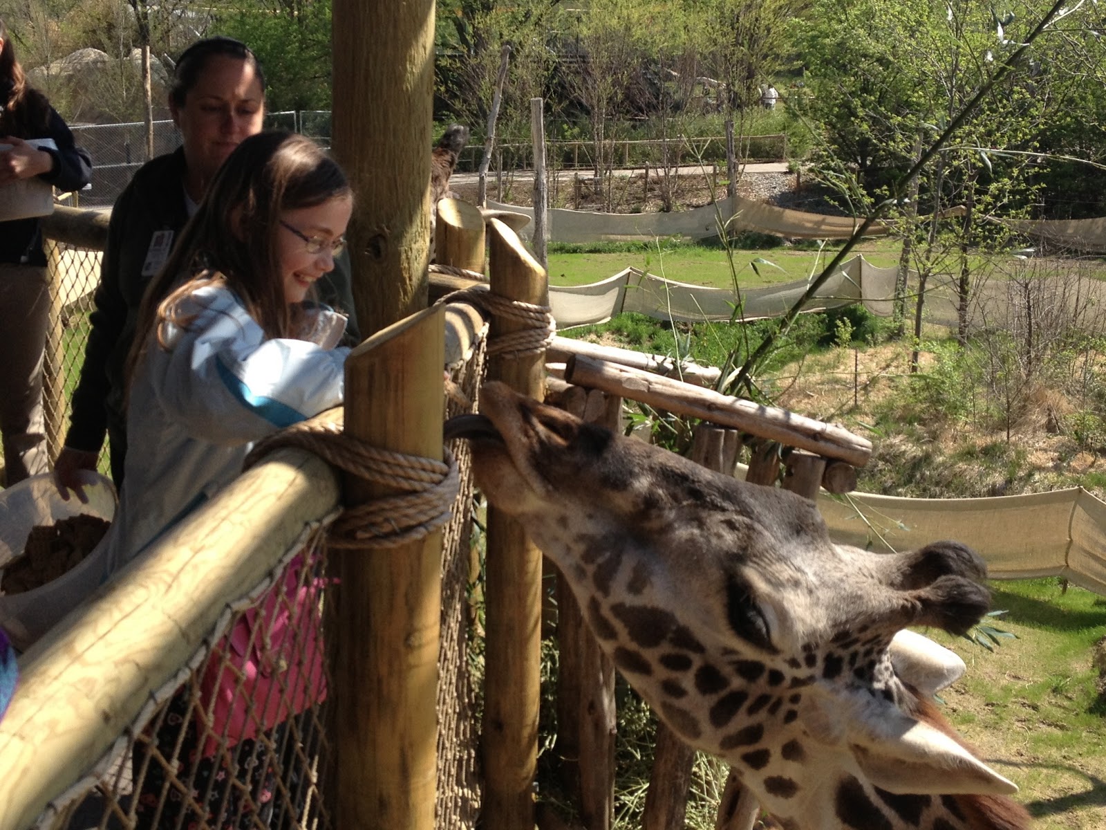 Reading, Teaching, Learning: Parent/Student Book Club at the Cincinnati Zoo