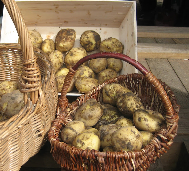 La fête de la Bonnotte