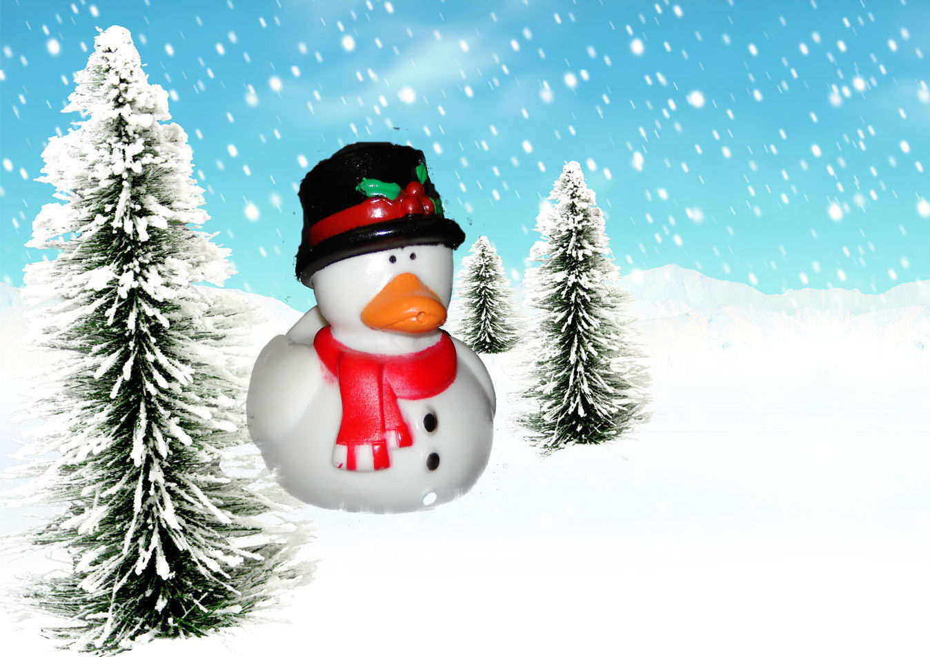 Adventures with Quacky: Snowman Duck, Duck of the Day #190