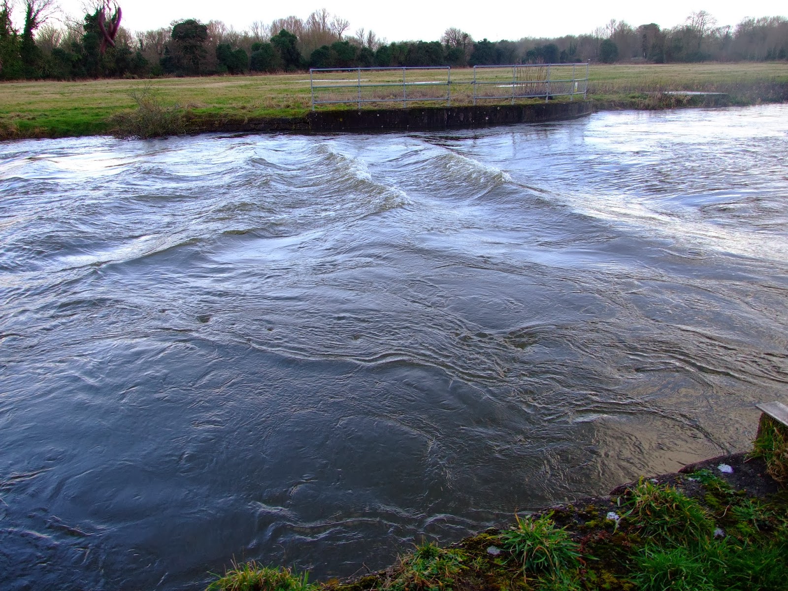 Canoeing and Kayaking on The River Kennet: New record high water and ...
