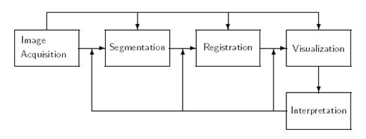 INSTRUMENTATION IN A NUTSHELL: MEDICAL IMAGE ANALYSIS