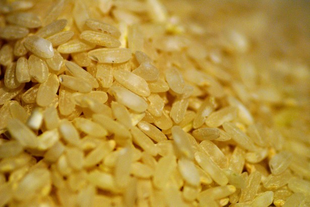 Green Grandma: GMO WARNING: Beware the Golden Rice