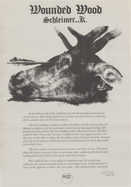 WET DREAMS: SCHLEIMER K - WOUNDED WOOD (LONE WOLF - LW 101, VINYL LP ...