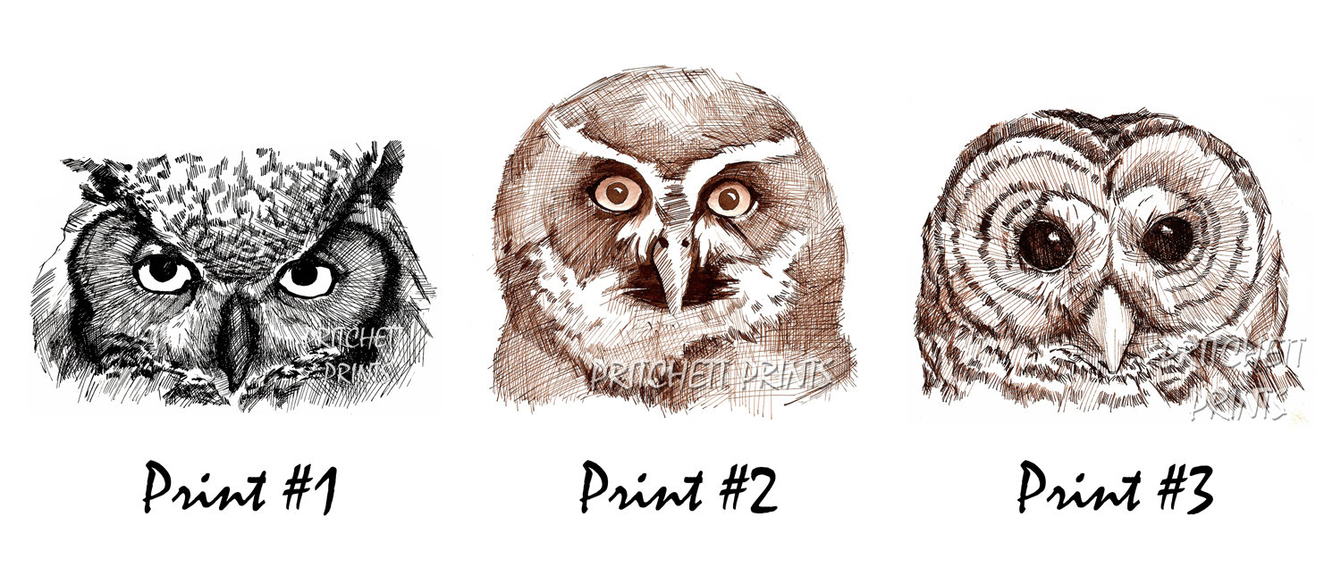 lovely llorys: Giveaway: Heather Pritchett Illustration