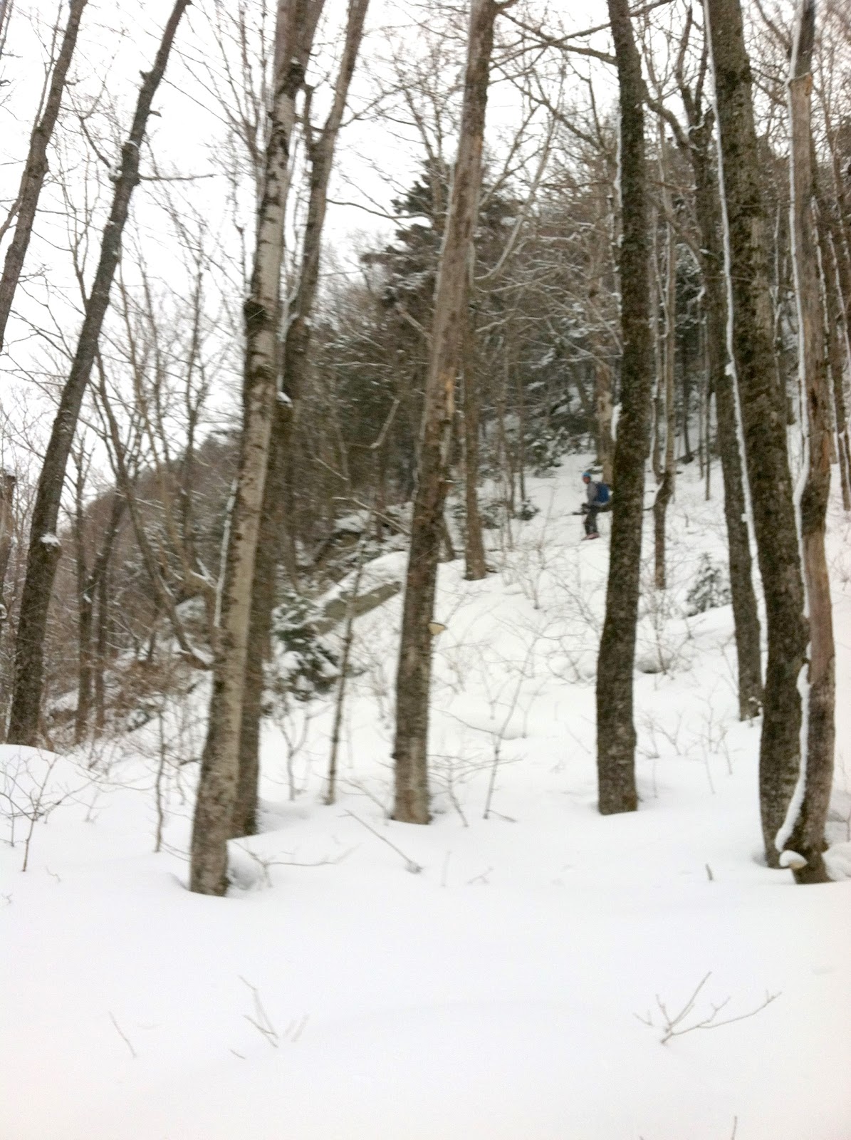 Nor'Easter Backcountry: -Trip Report- Mt. Hor, VT: Insert Inappropriate ...