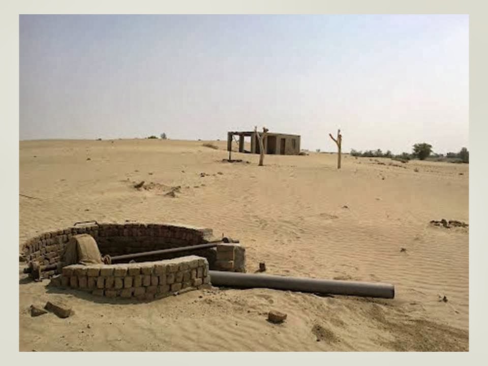 Spreebird: Thal desert