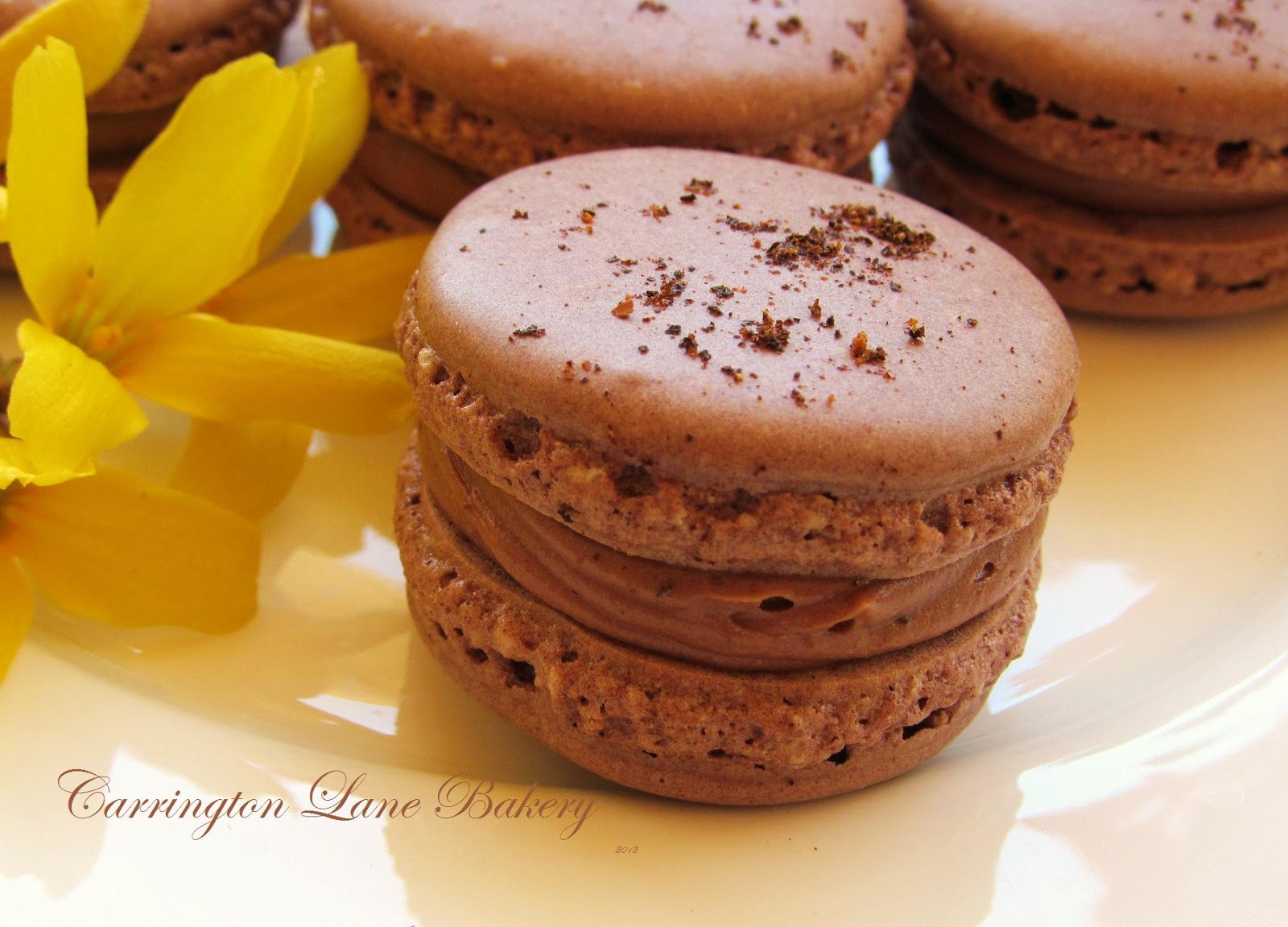 Carrington Lane Bakery: Ancho Chili and Chocolate Macarons