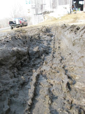 Hello MUD! - Living with Gotlands