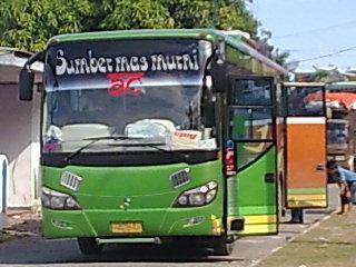 Gado-gado: BUs Di Sul-sel Juga Seru