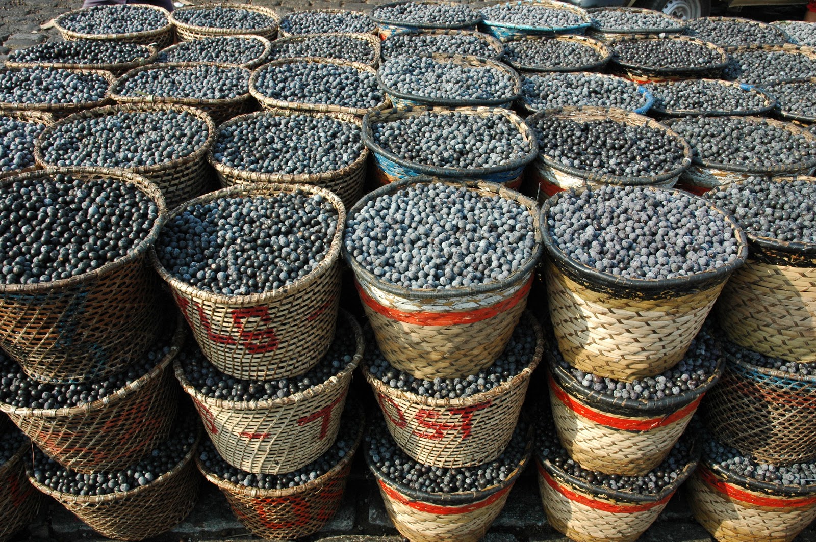 sodrepara24 horas: O Açaí, fruta típica do Pará/Brasil