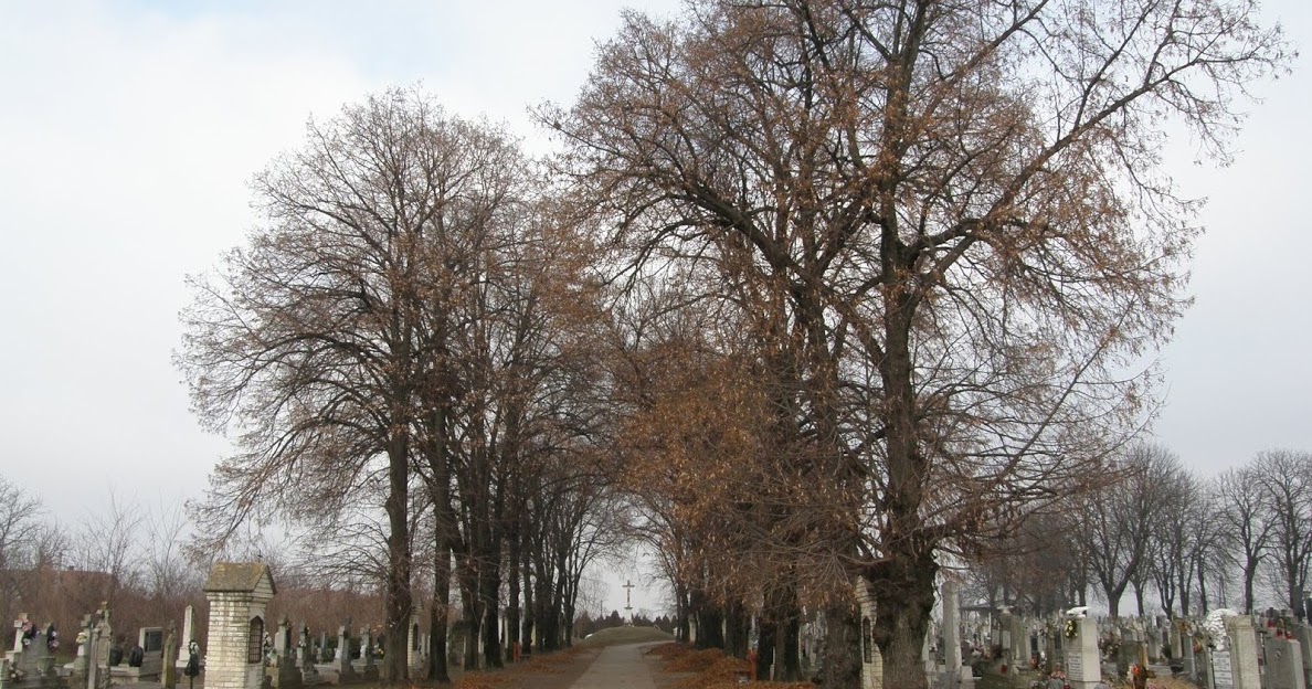 csendhegyek: Felsőszentiván kálvária