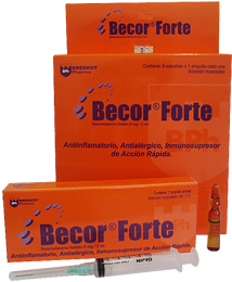 BECOR FORTE AMPOLLAS | Medicamentos