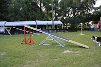 Tips, Tricks, and Training: Using The Tip Assist To Improve Teeter ...