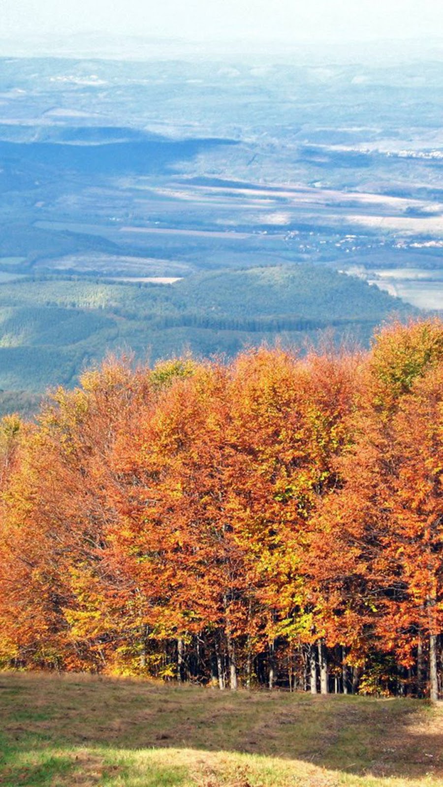 Fondo android pack 188