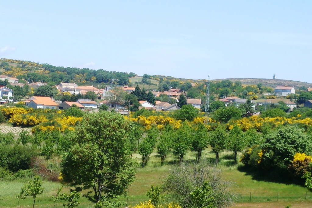 TRAVANCAS DA RAIA: Travancas, de Amarelo