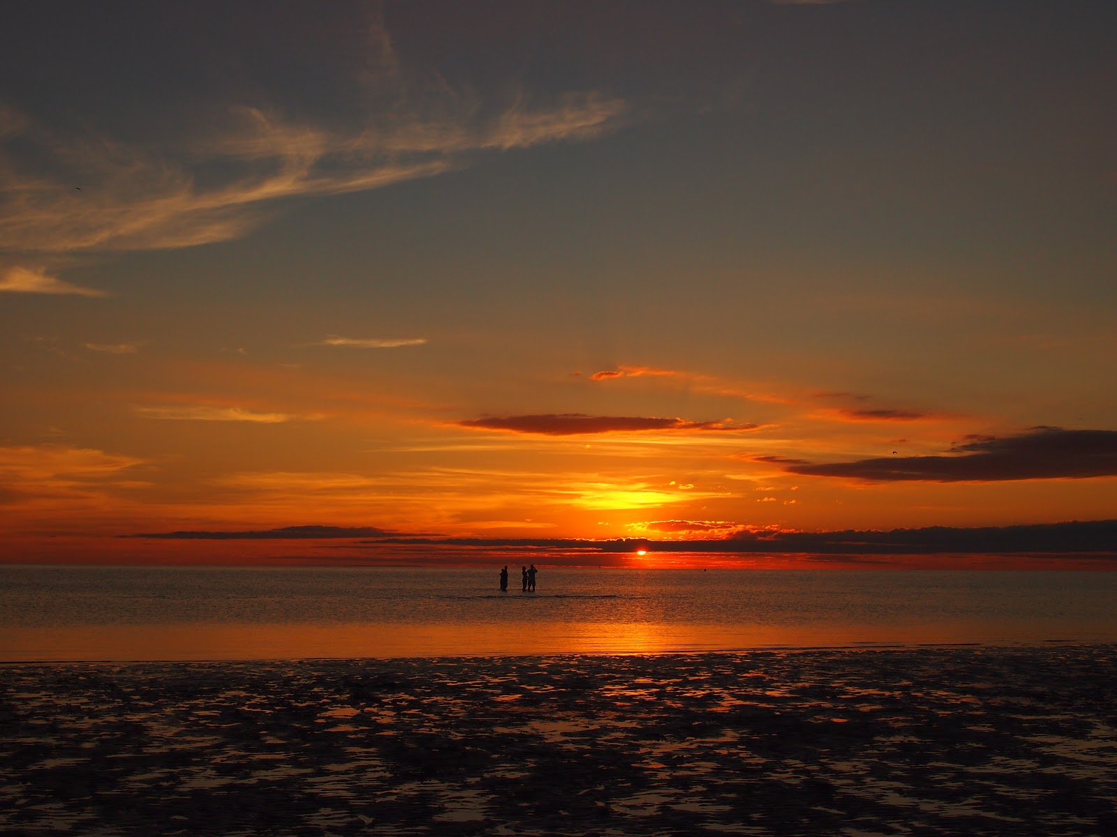Black Swamp Cornucopia: First Encounter Beach, Cape Cod, Massachusetts