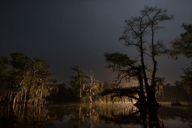 Bayous and Swamps of Louisiana : Crouix - Cypress Swamp Night at Bayou ...