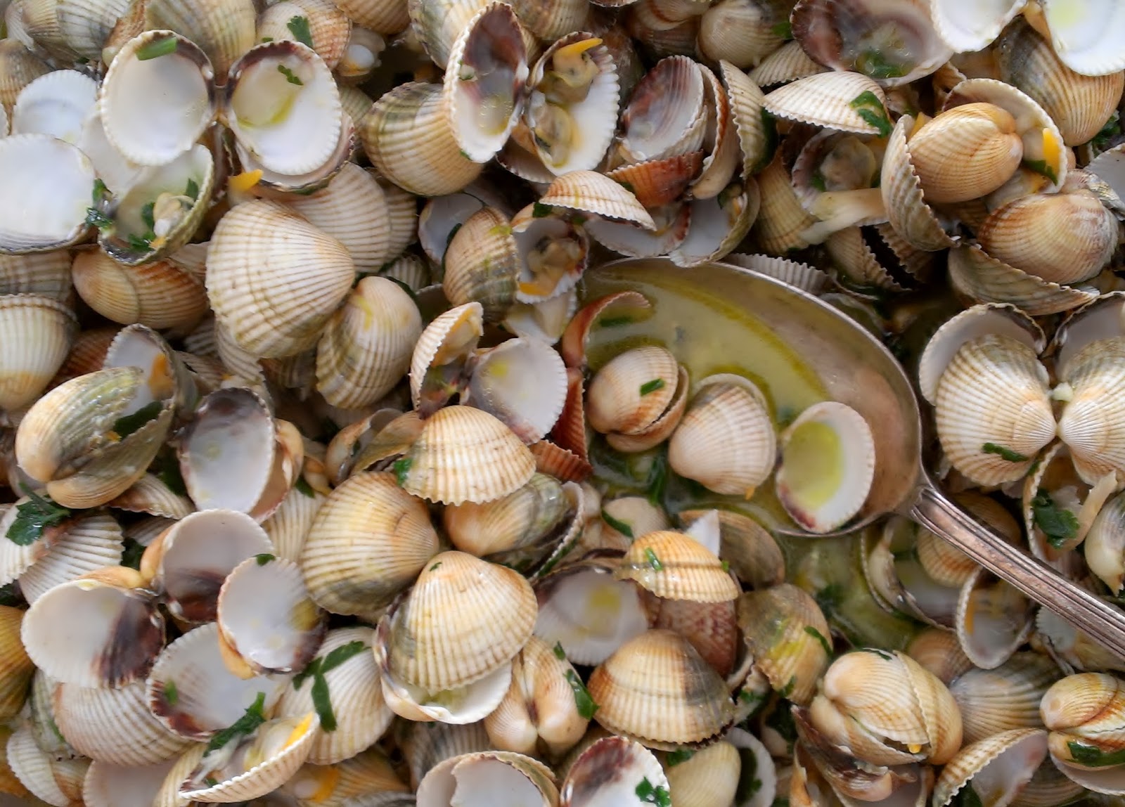 Receitas do Mercado: Berbigão à moda da avó Gracelina
