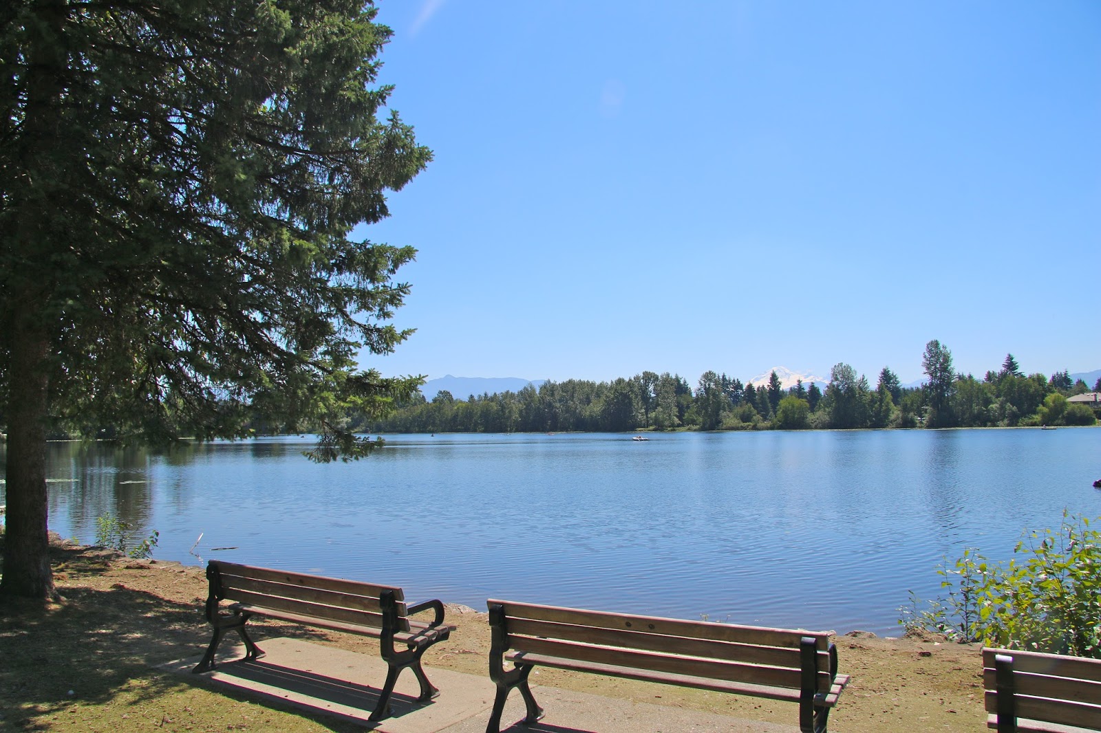 on my toes: Mill Lake Park, Abbotsford