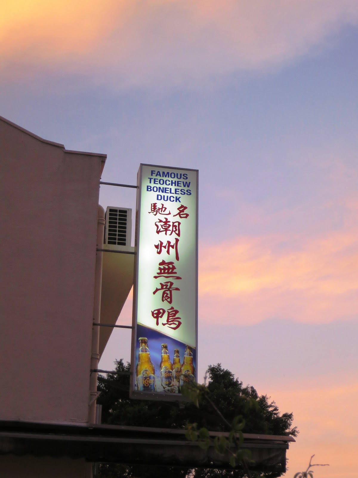 PinkyPiggu: Famous Lim Seng Lee Duck Rice @ South Buona Vista Road