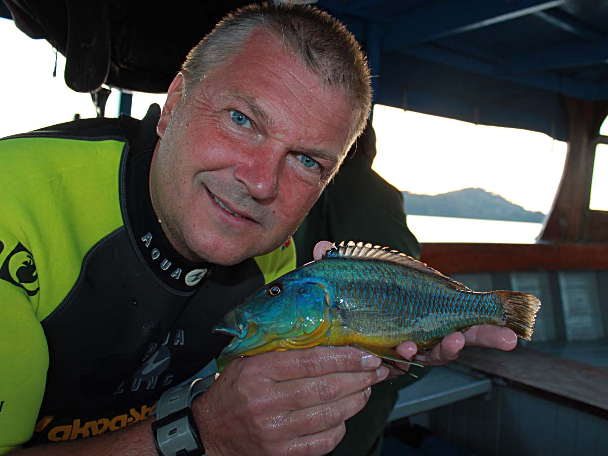 ...ruessbrugg retour ond es bizzli meh...: Malawi - Fische im Lake Malawi