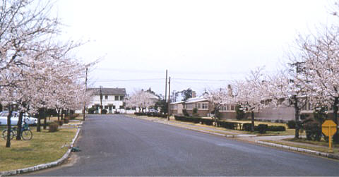 Michael G Skidmore: Tachikawa Air Base Japan