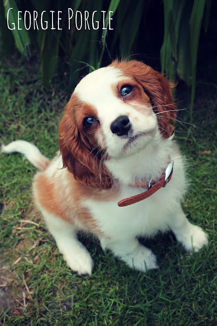 Beauty, Life and Babies