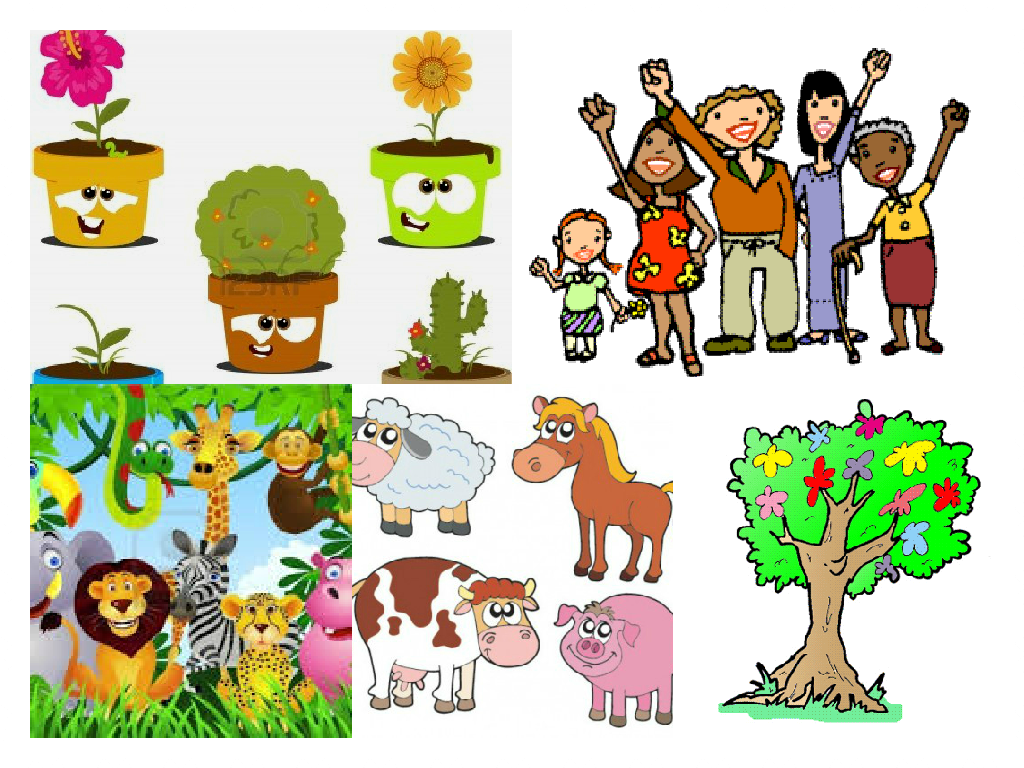 Seres Animados E Inanimados - LIBRAIN