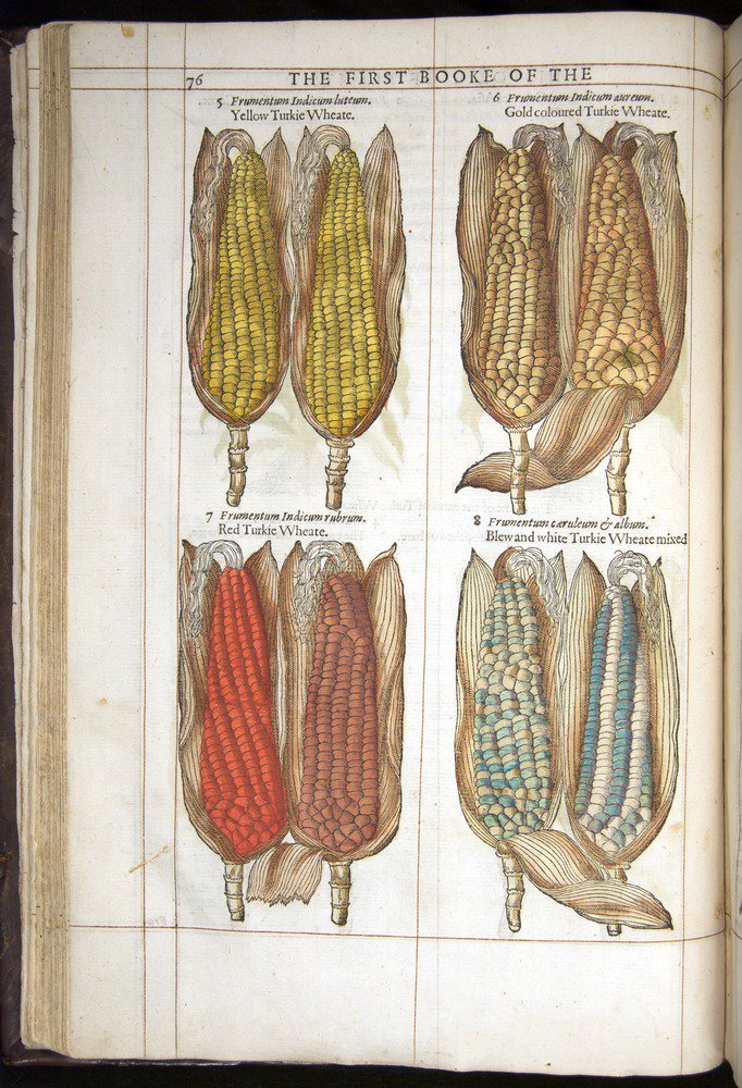 Agroecología: John Gerard's Herbal (1597)