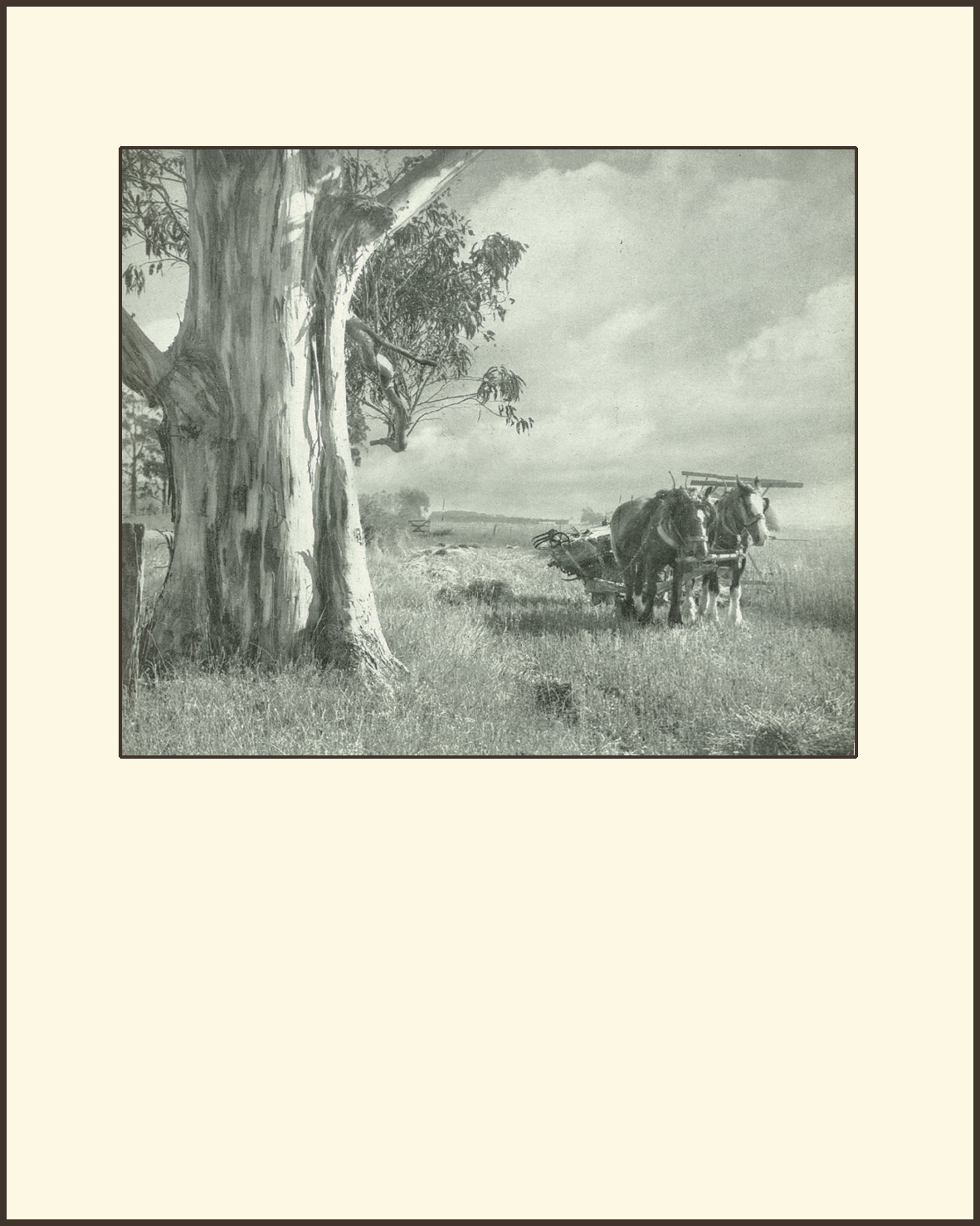 Early New Zealand Photographers: CHANCE, George