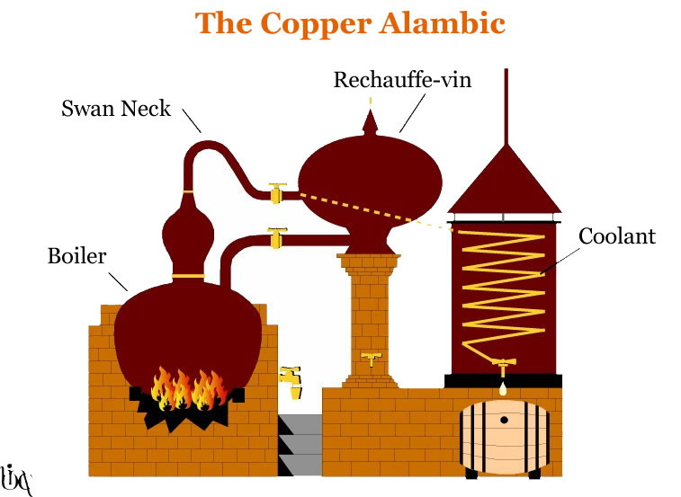 South River Vineyard: Cognac vs. Whiskey