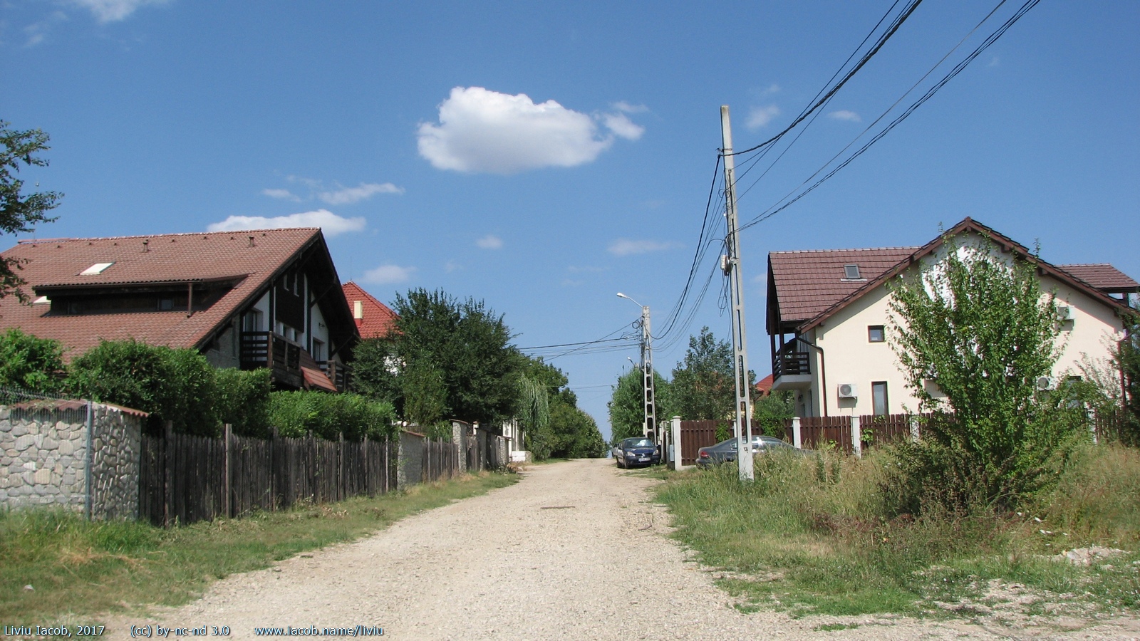 Traseu in Ilfov: Branesti (Padurea Pustnicu + Raul Pasarea ...