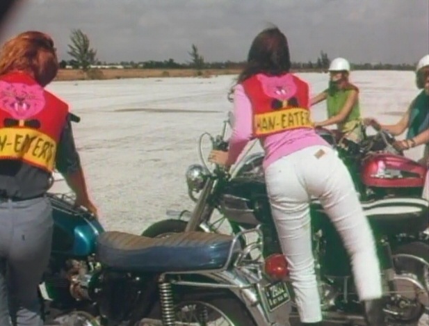 Just Screenshots She Devils On Wheels 1968
