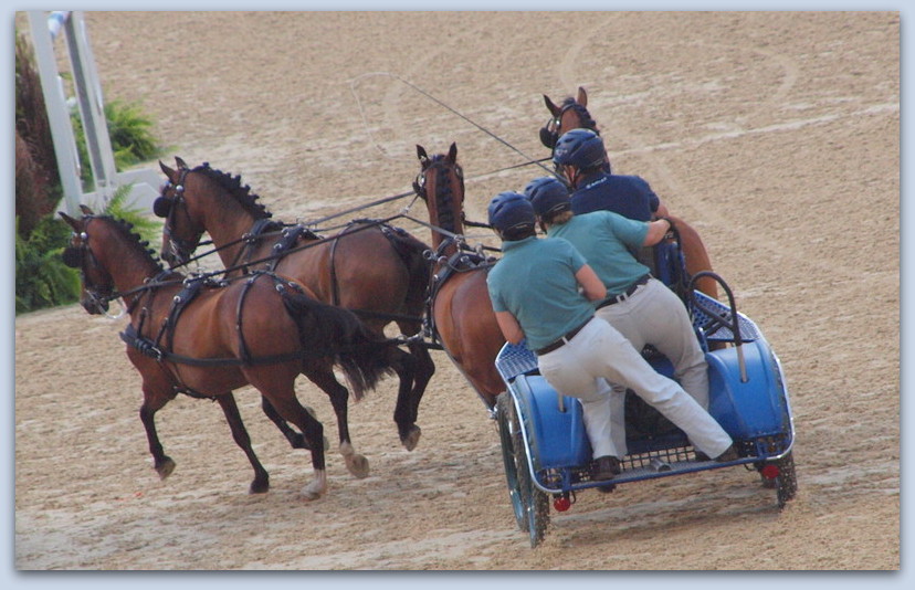 TAKIN BETZ: ALL THINGS HORSES!