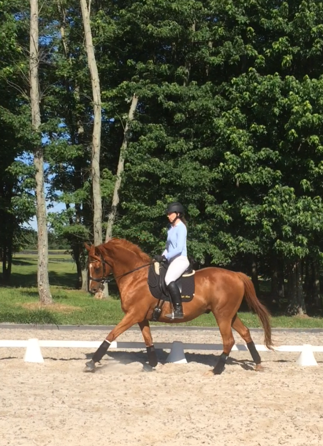 Stephen Returns: A Sweaty Story About Counter Canter