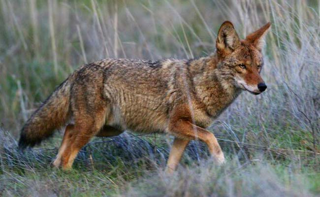 Tahu Gak Sih ??: 2017