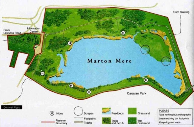 Where-2-See Birds (Beta Version): Official Marton Mere Map