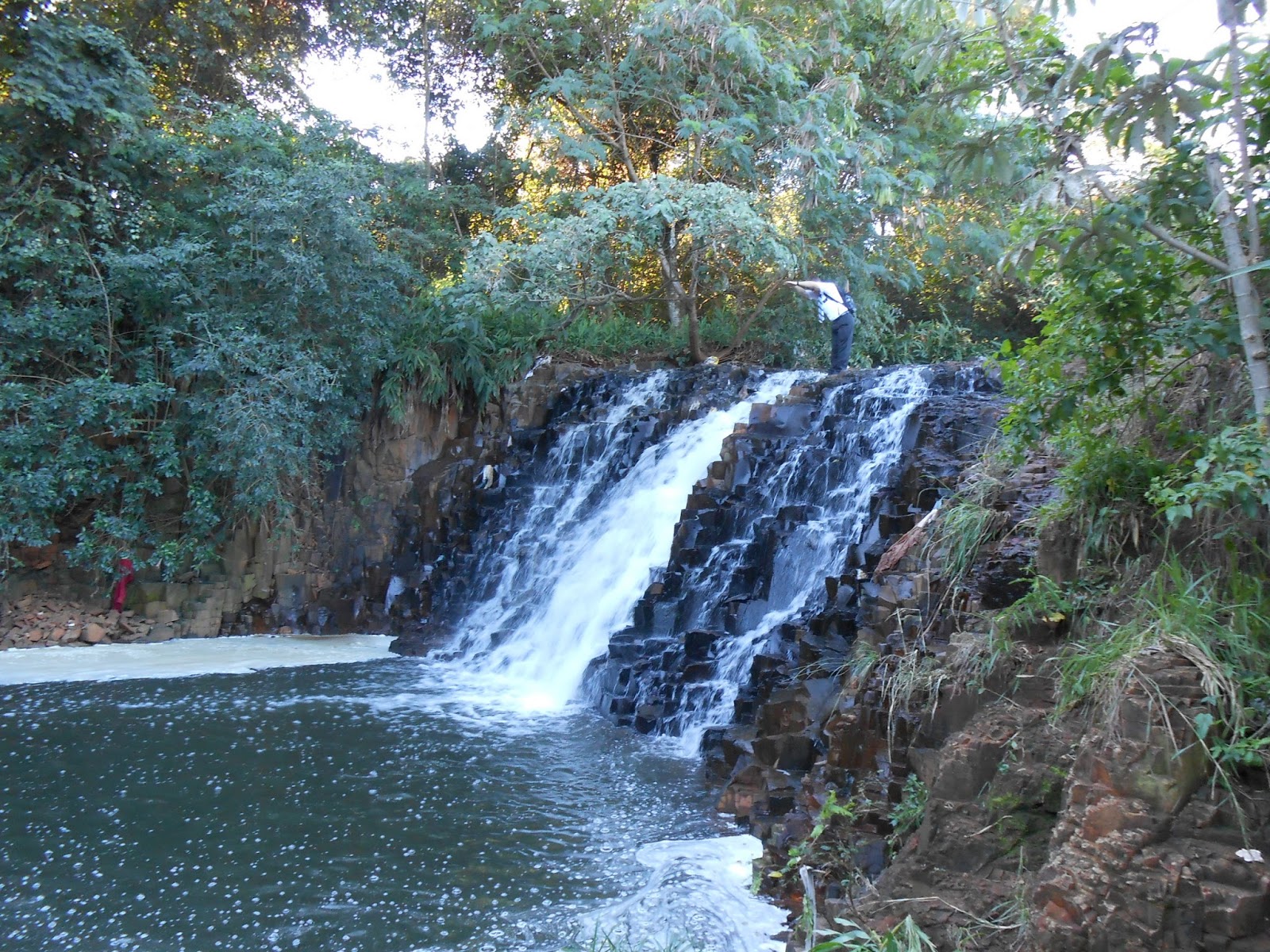 Paraguay Asuncion North Mission : Week 19