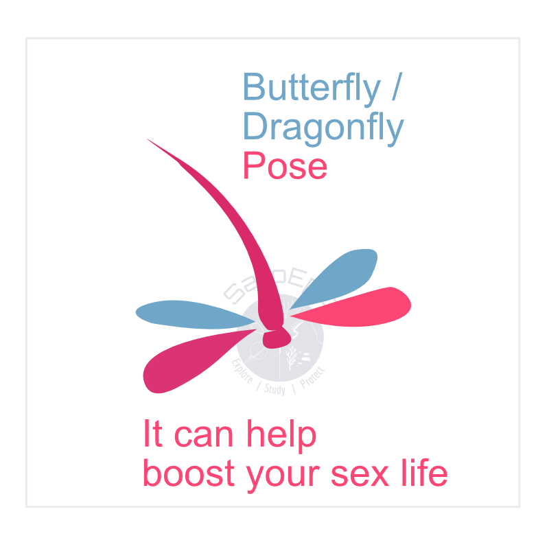 Saroepic Acupuncture Acupressure Point For Boost Our Sex Life