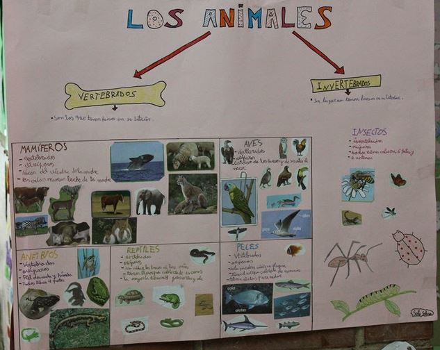 LA CLASE 6º "B" CEPR JUAN SEBASTIÁN EL CANO: Tarea sobre el Tema 2. Los ...